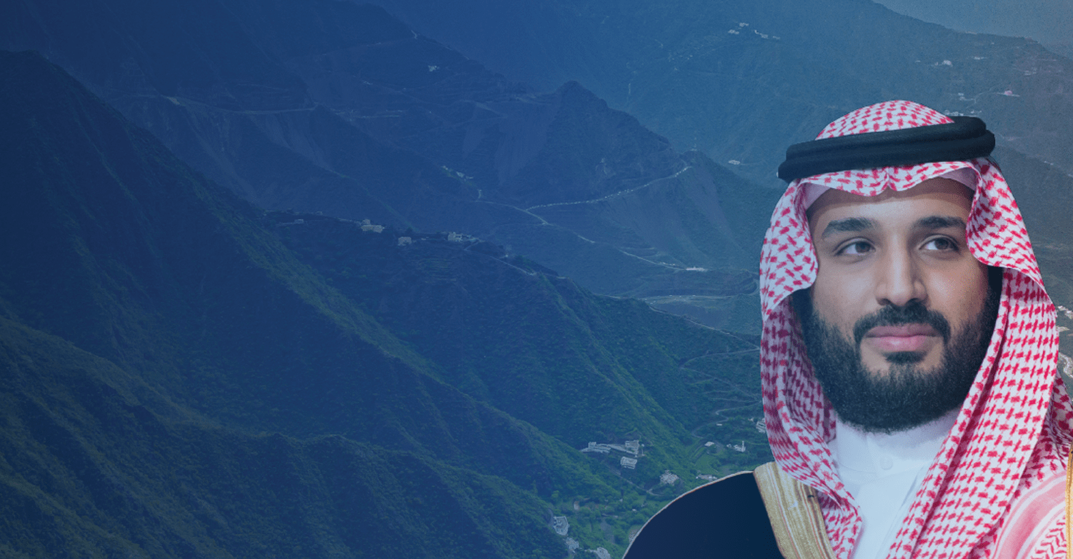 Franchester Consulting